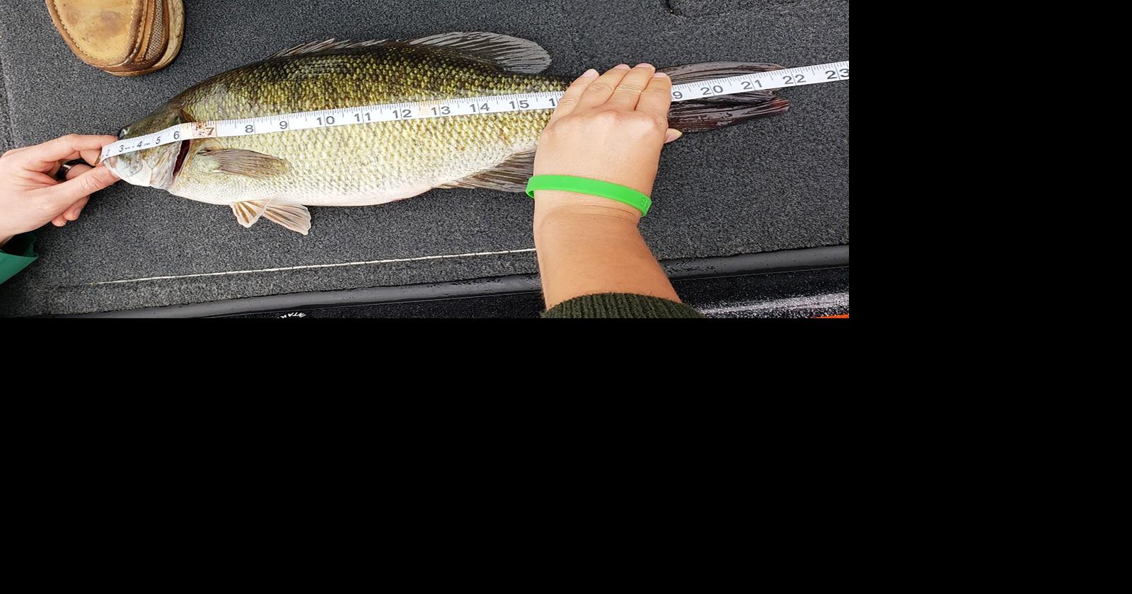 Meanmouth record: New state record catch carries mixed bag of ...