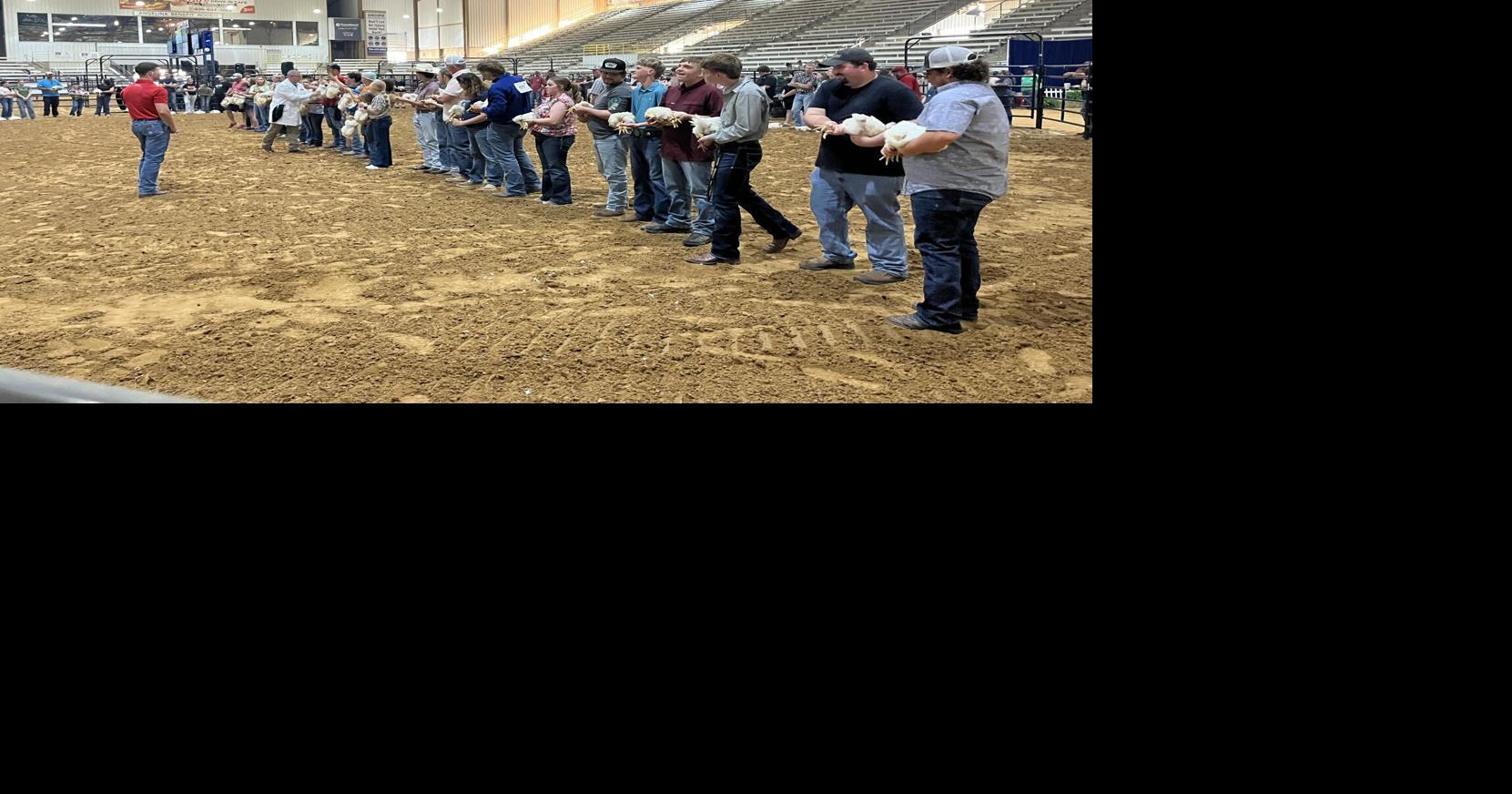 Students show broilers at Angelina County Fair | Local & State ...