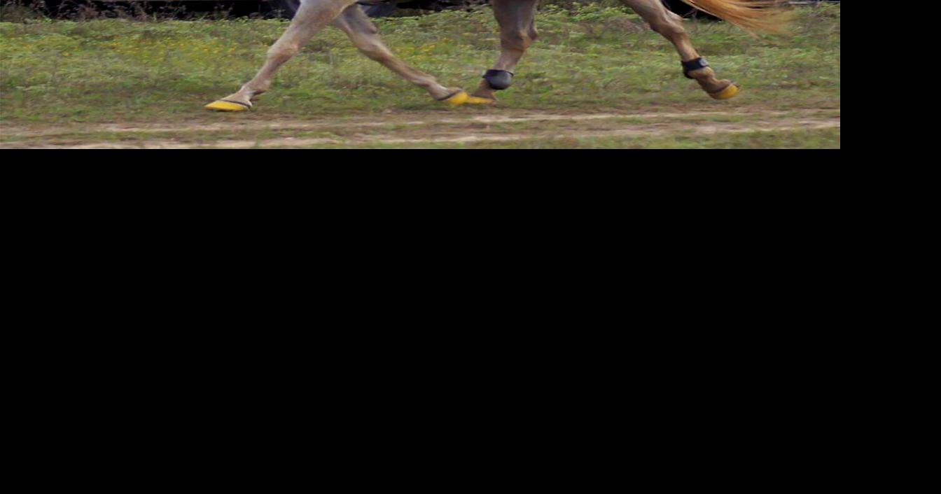 Happy trails: East Texas woman shares passion for horseback riding ...