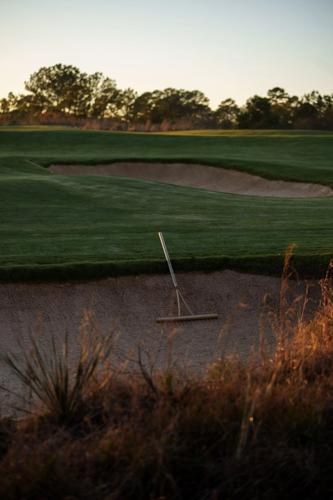 An ocean of sand: Wild Spring Dunes the latest 'must play' destination ...