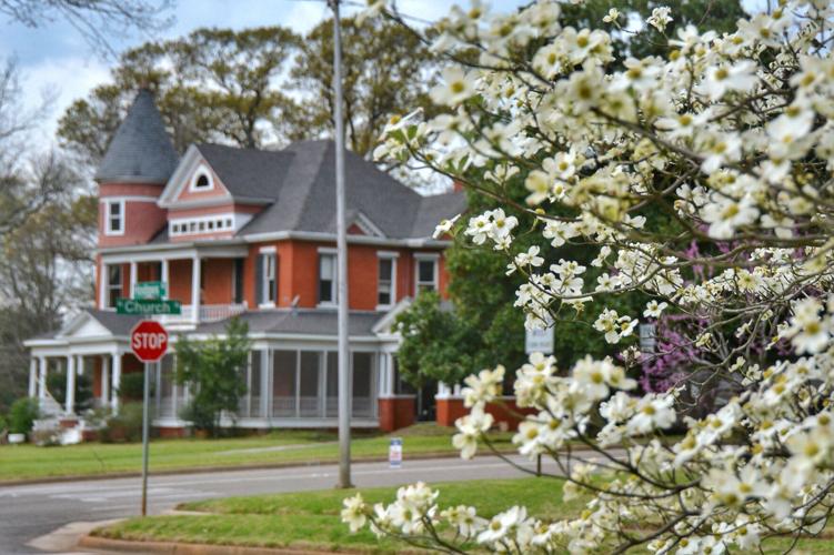 Pretty in Pink (and white): Palestine Dogwood Trails and Festival ...