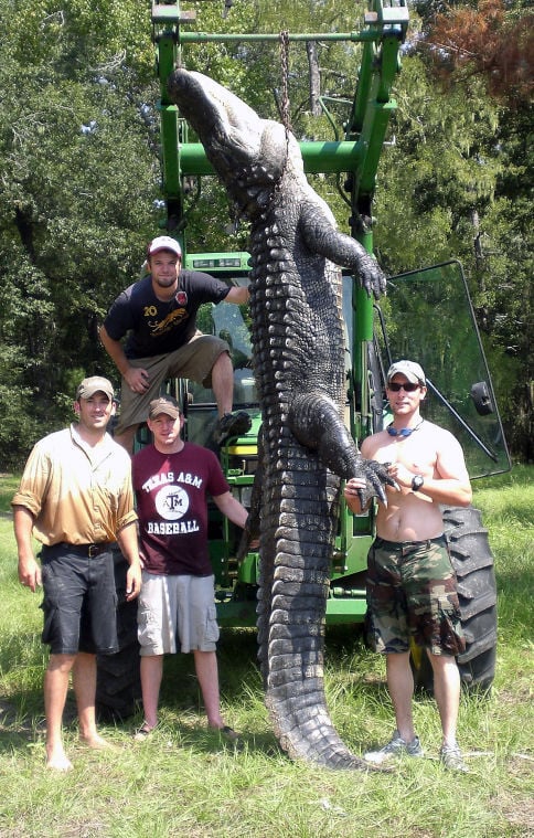 Greater gator! Lufkin man and his friends take down world record gator ...