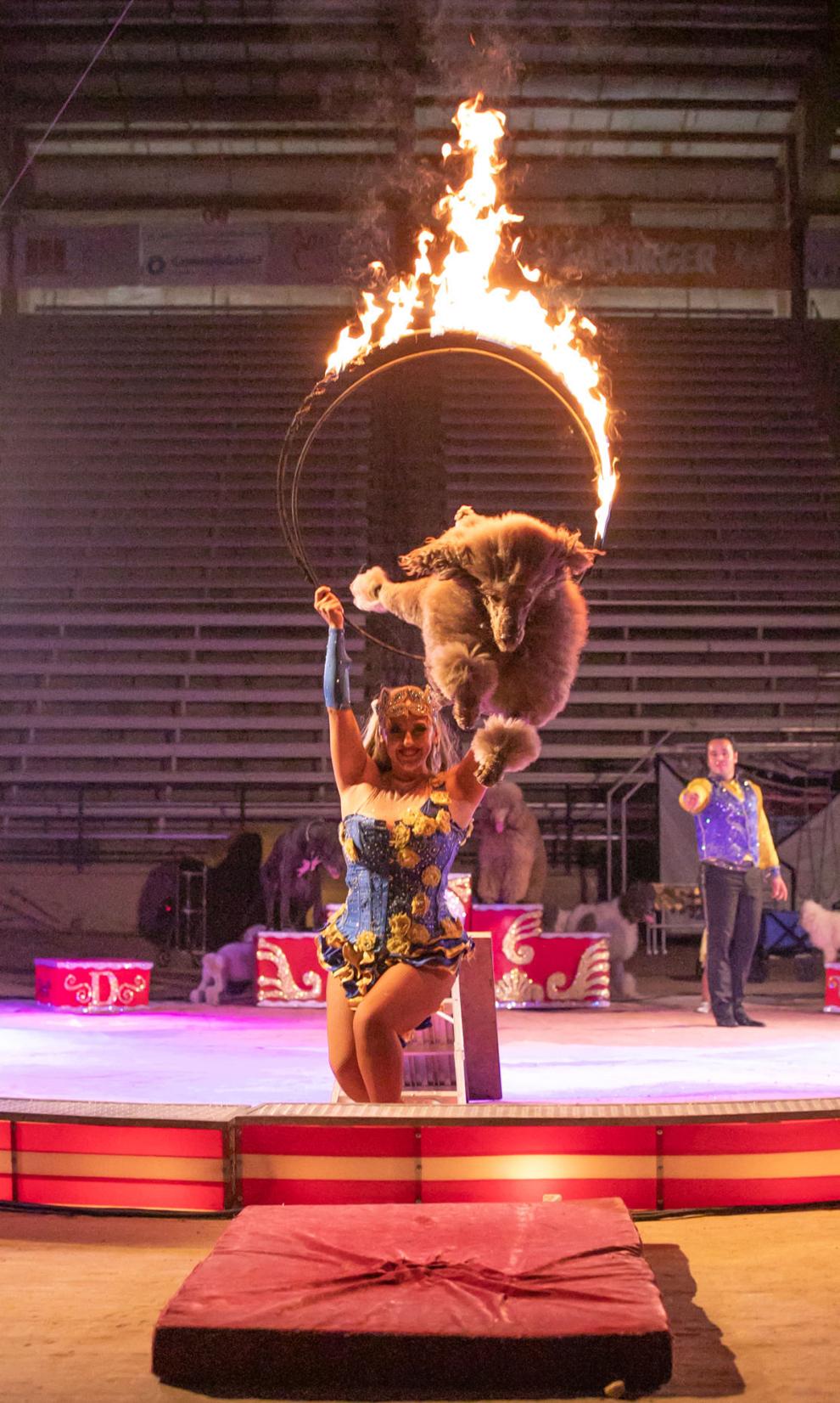 PETA protests Sharon Shrine Circus ahead of Lufkin show | Local & State ...