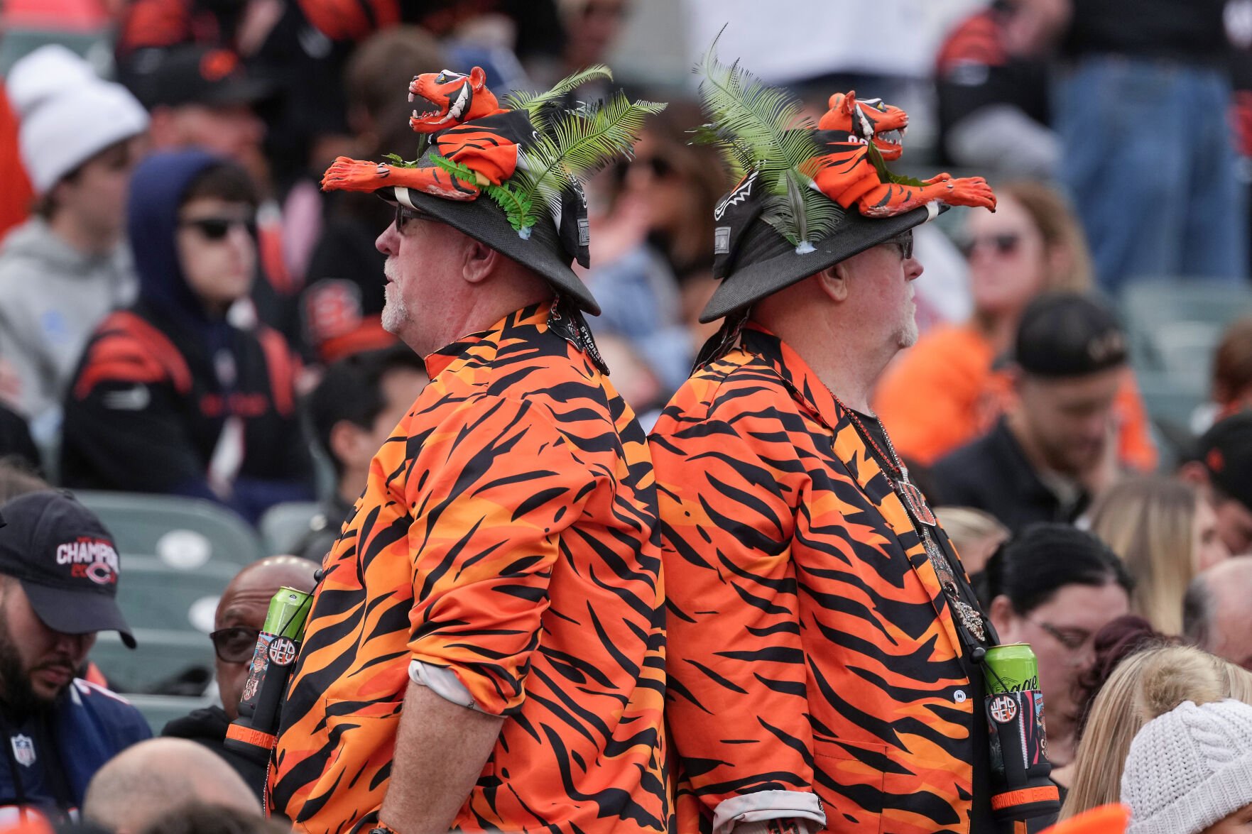 Cardinals Bengals Football | Sports | lufkindailynews.com