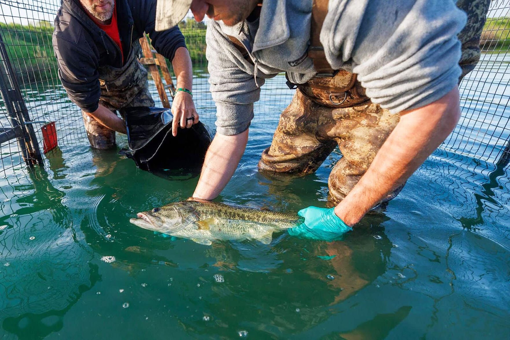 Outdoors | lufkindailynews.com