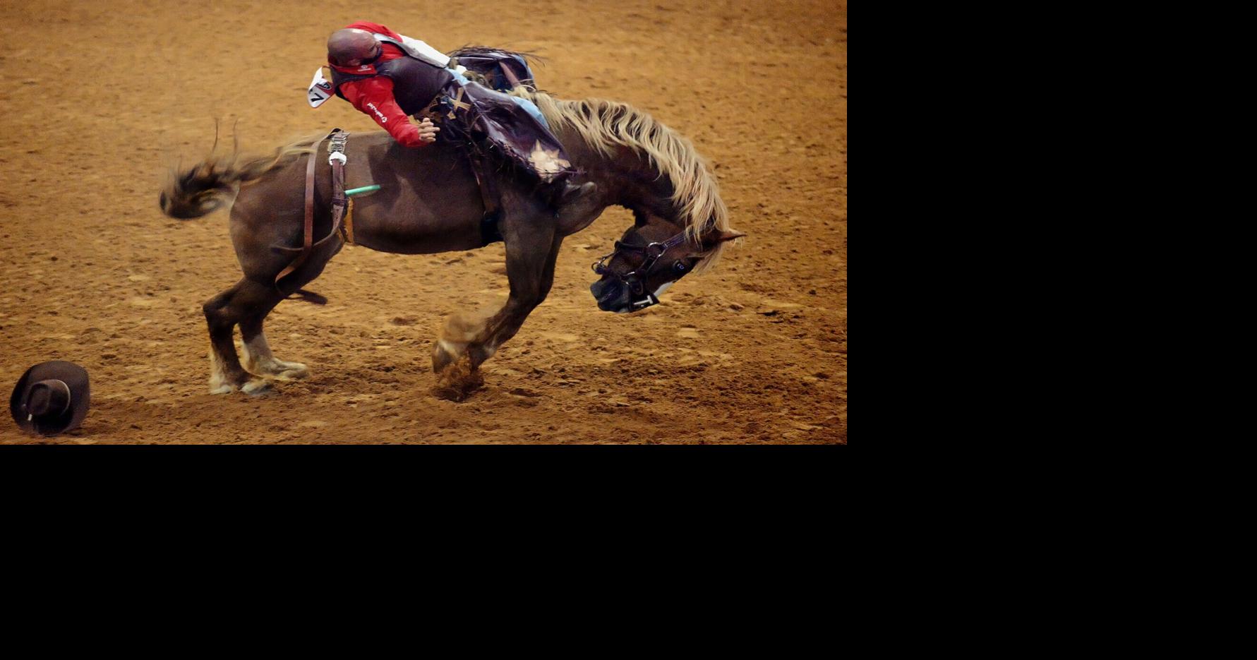 Scott impressed by Lions' contributions to rodeo | Local & State ...