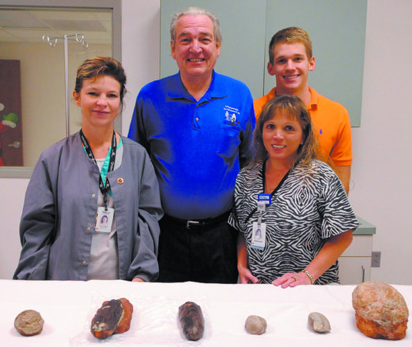 pterodactyl rust egg