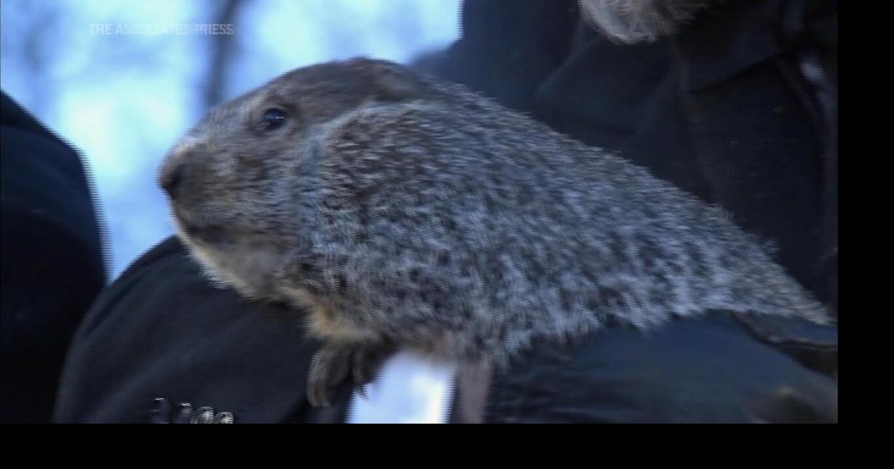 Groundhog Day: Here's how it all started | Ap Video | lufkindailynews.com