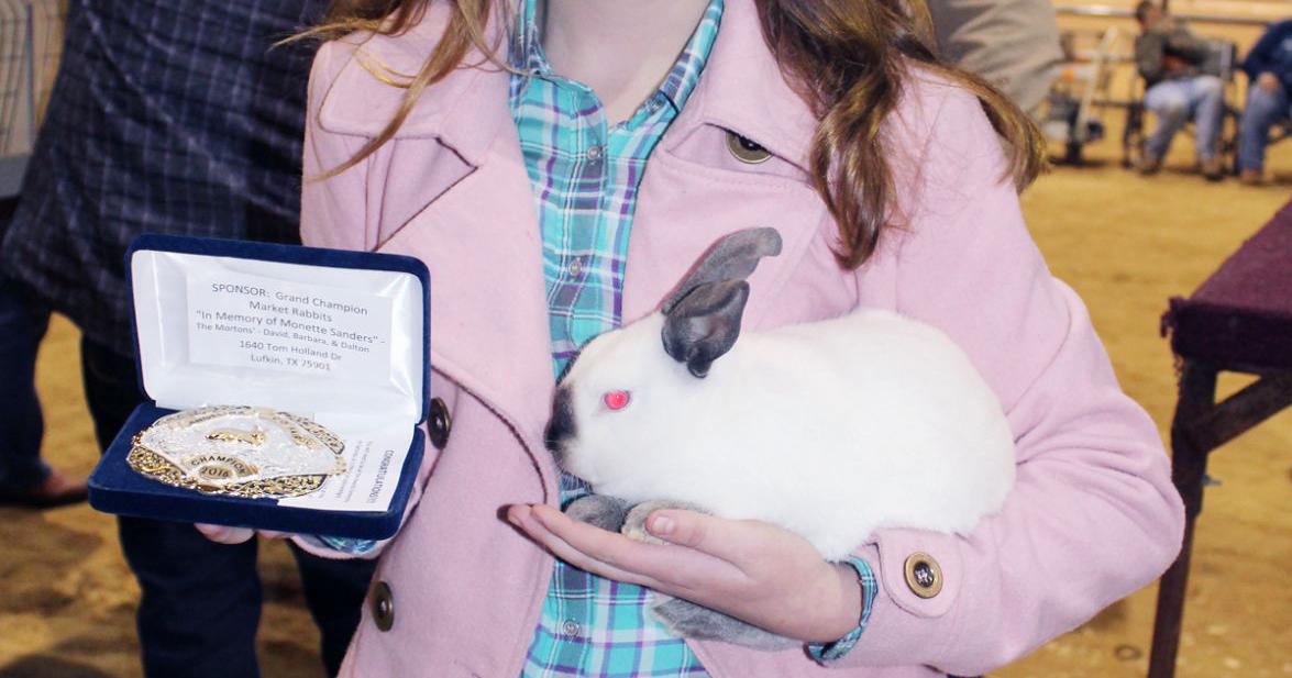 Bowers shows grand champion rabbit | Local & State | lufkindailynews.com