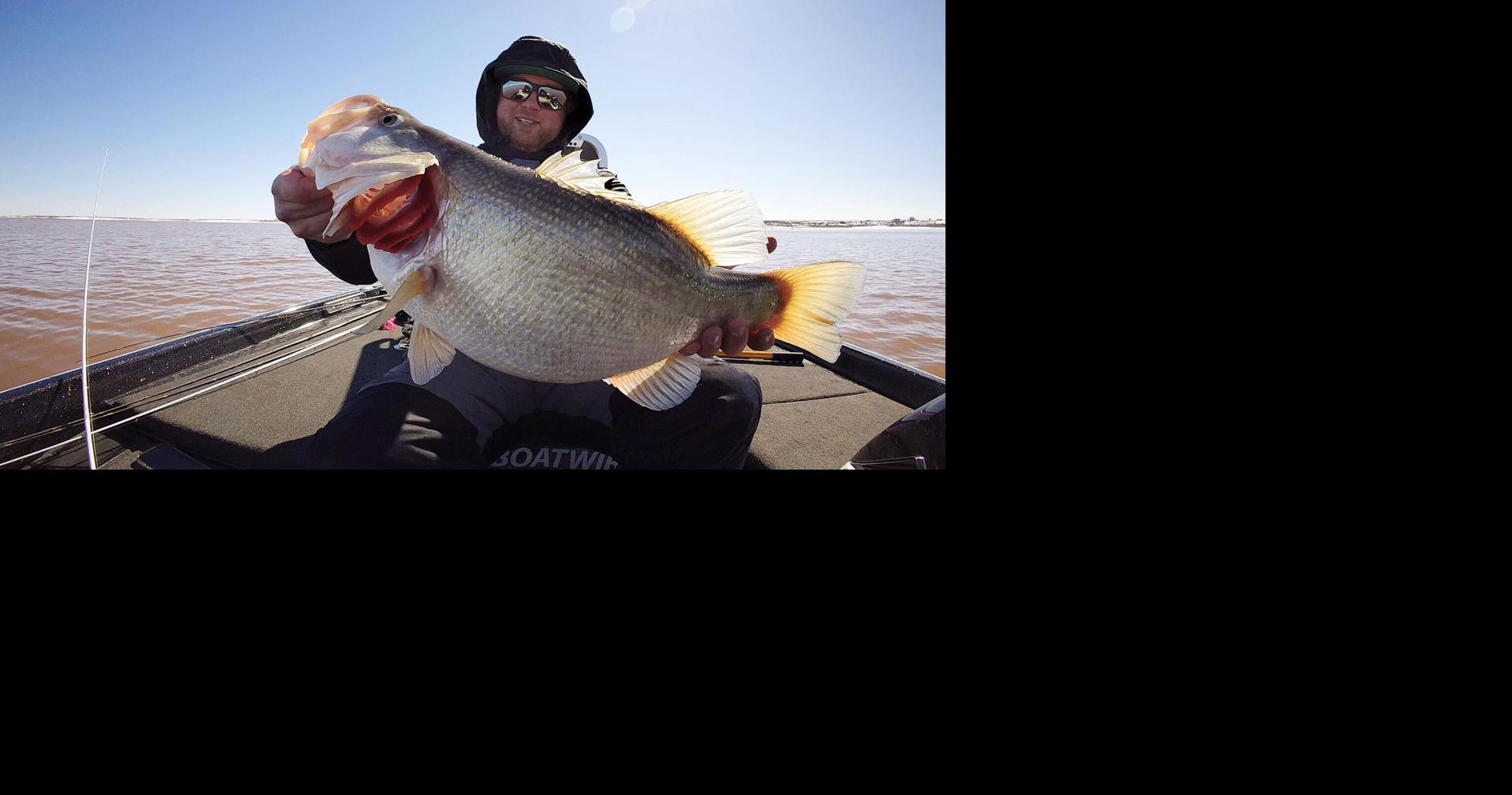 Getting your bass on: Kentucky angler finds giants at JB Thomas on the ...