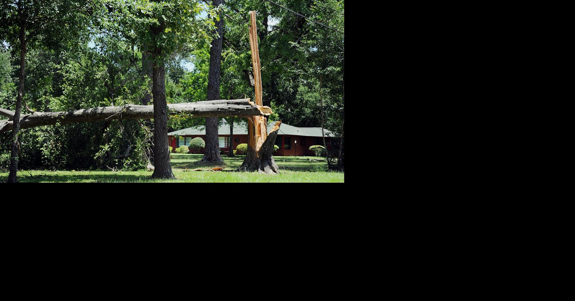 Trace Harris - Journalist Profile - Intelligent Relations