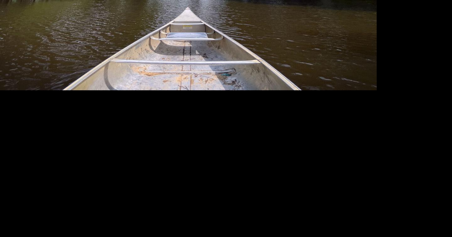 All Natural: Exploring Caddo Lake State Park ... by Canoe | Charm ...