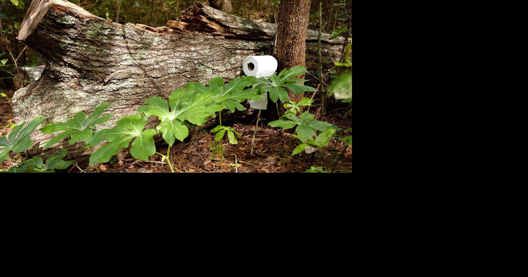 Toilet paper doesn’t grow on trees, but free-range alternatives exist ...