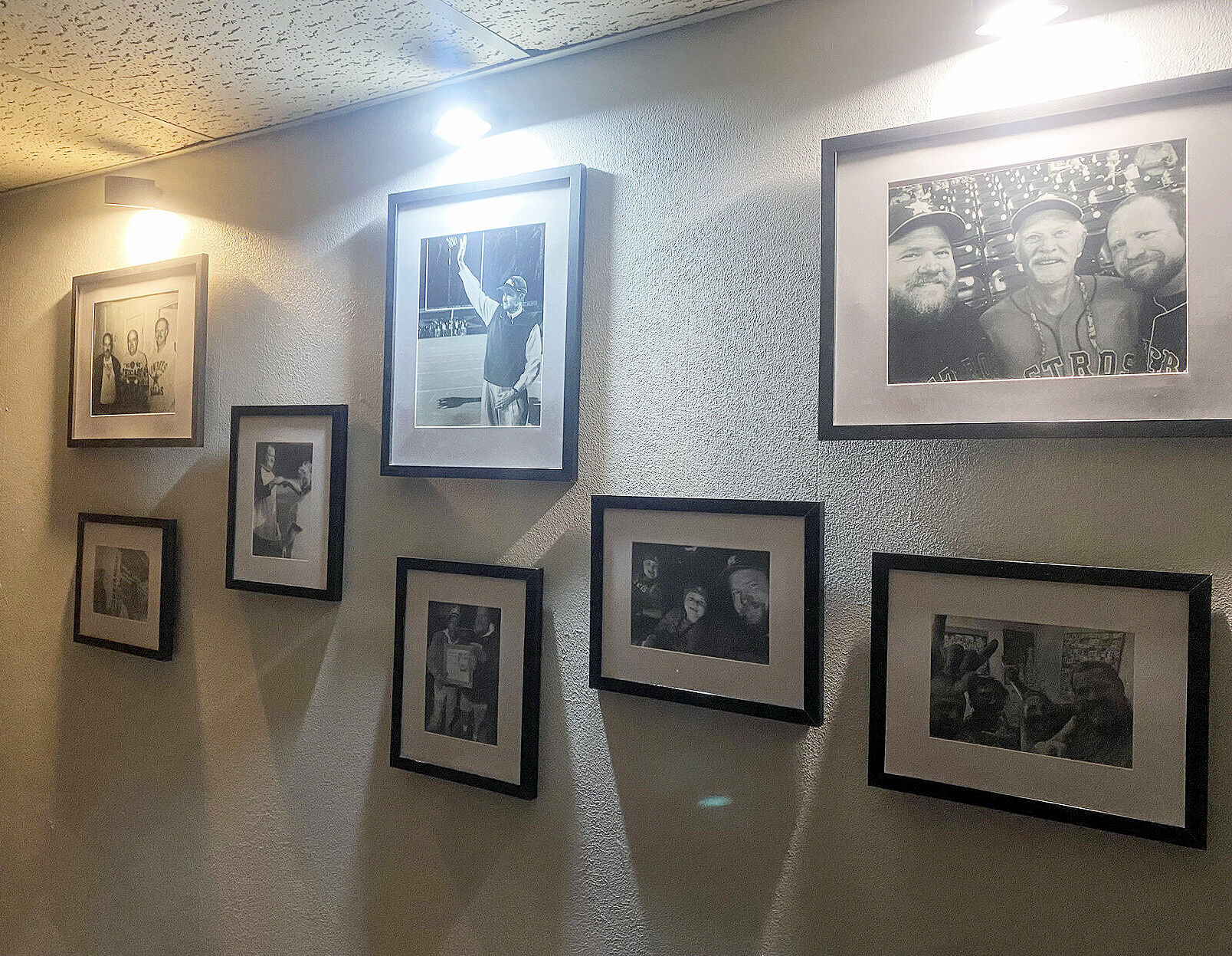 HAVARD: Squirrel story not so nutty after it leads to Christmas office ...