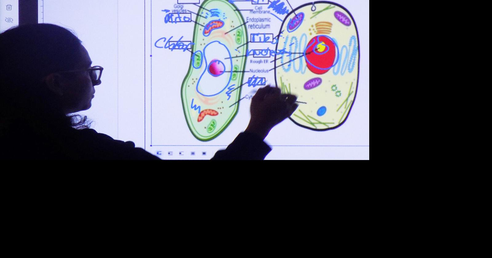 New texts and solar eclipse spur science activity at Lufkin ISD | Local ...