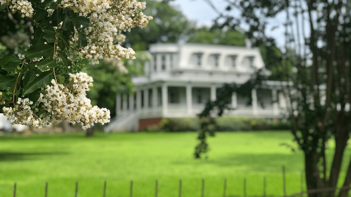 Pretty in Pink (and white): Palestine Dogwood Trails and Festival ...