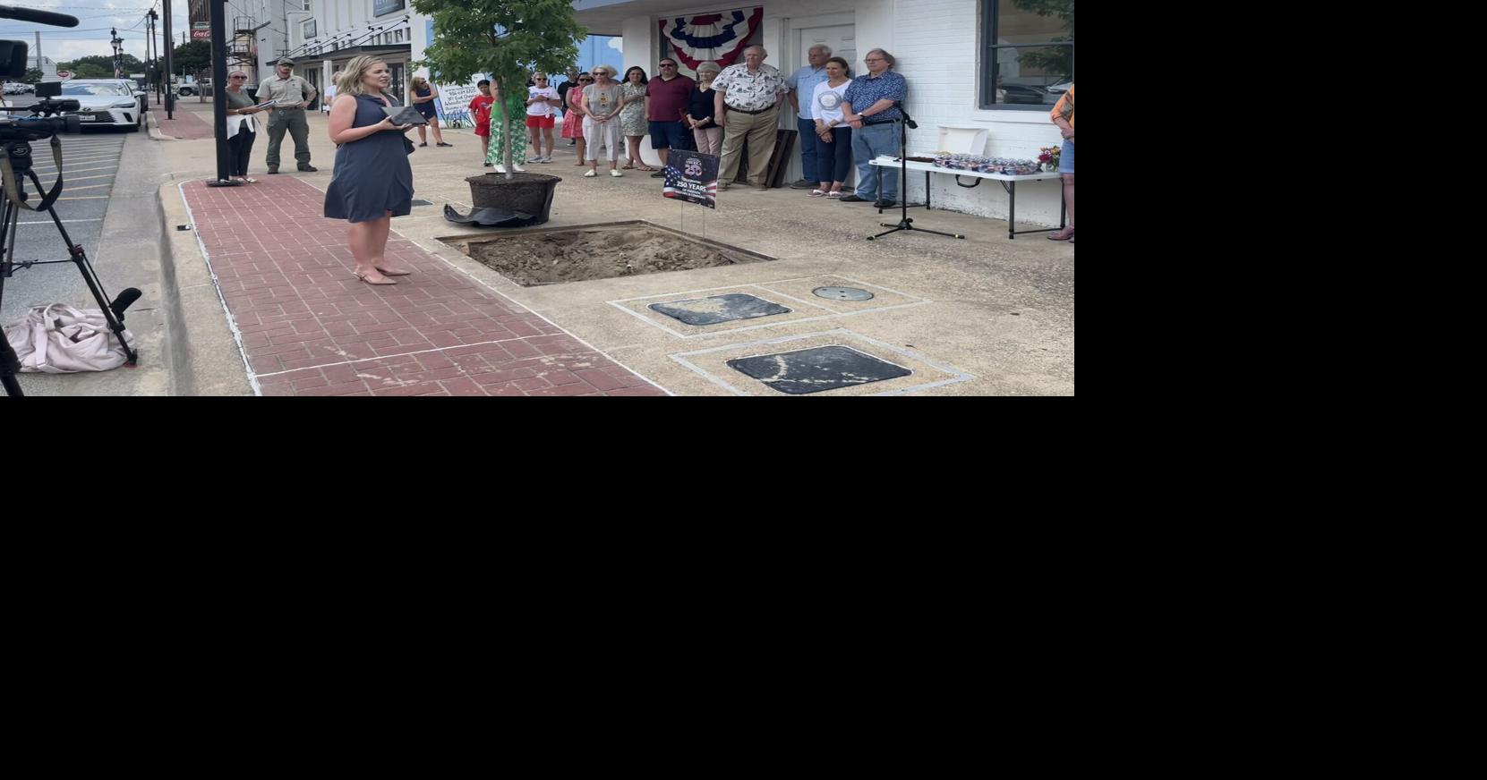 AB/C plants tree to commemorate USA's 250th | Local & State ...