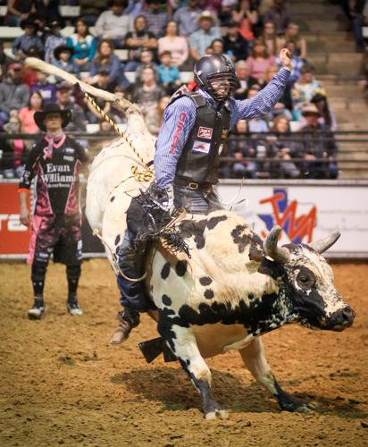 Championship bull riding tour comes to town on Saturday | Life ...