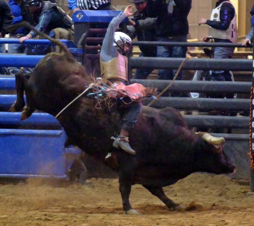 Bull Bash set for tonight | Local & State | lufkindailynews.com