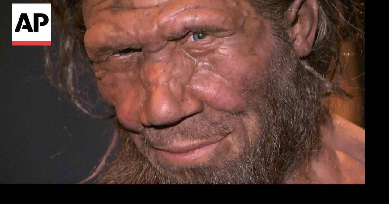 New study shows how humans and Neanderthals coupled up | Ap Video ...