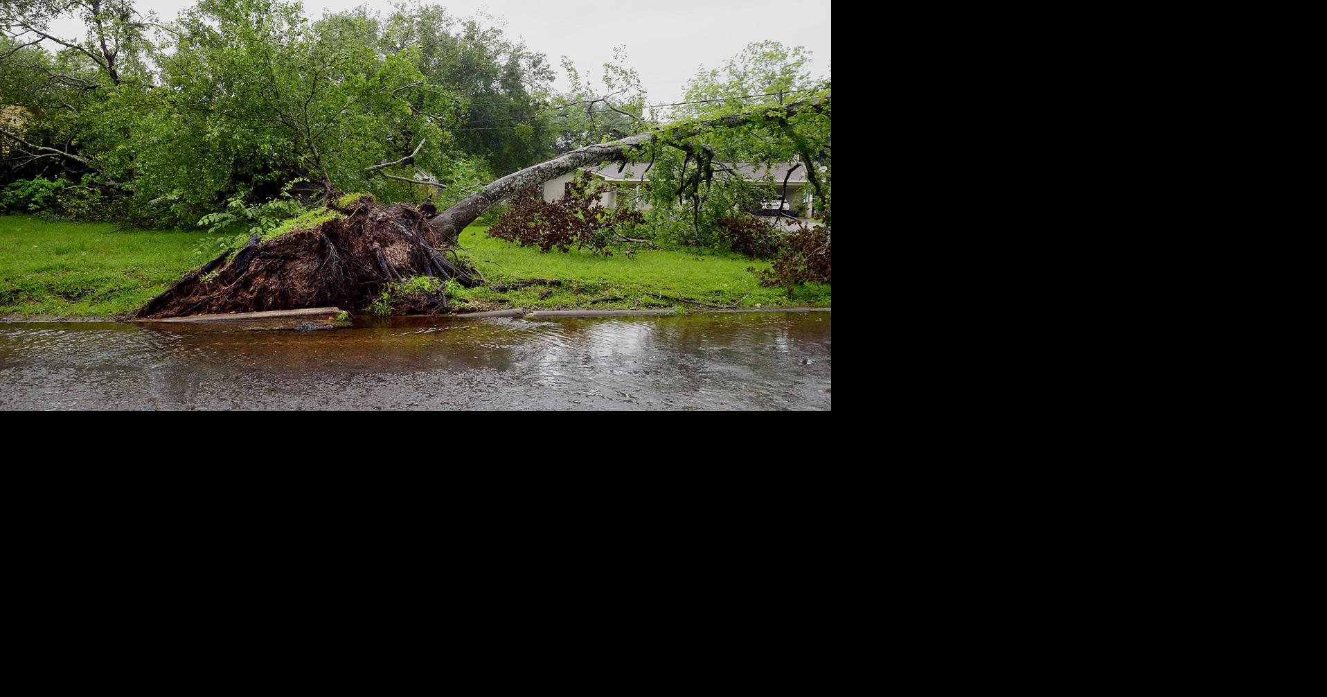 City, Oncor responding to downed trees, power outages | Community ...
