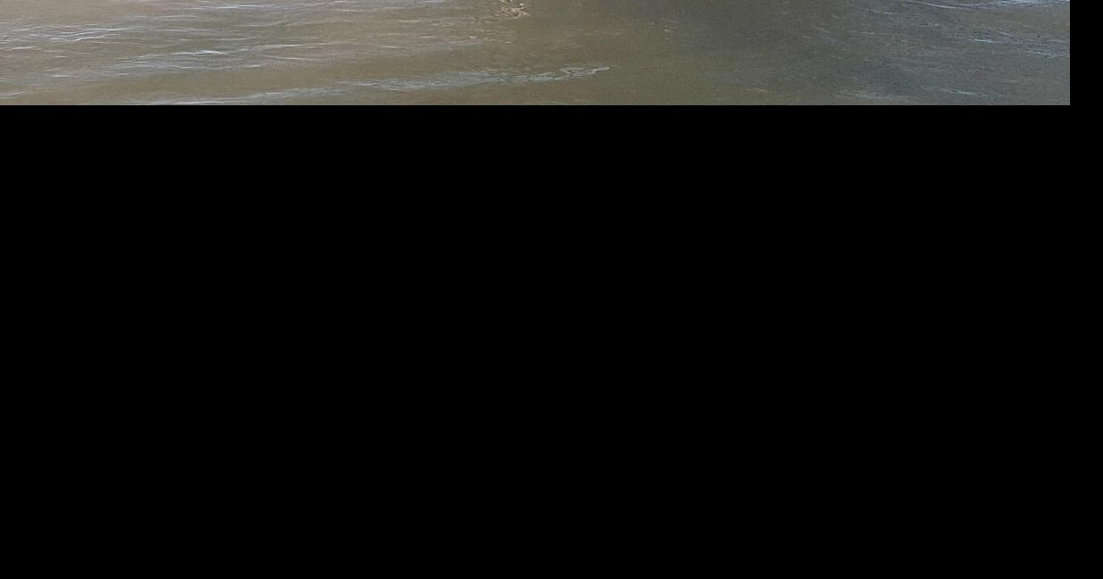 AMERICA’S FIRST BIRD: Angler reflects on saving bald eagle; TPWD ...