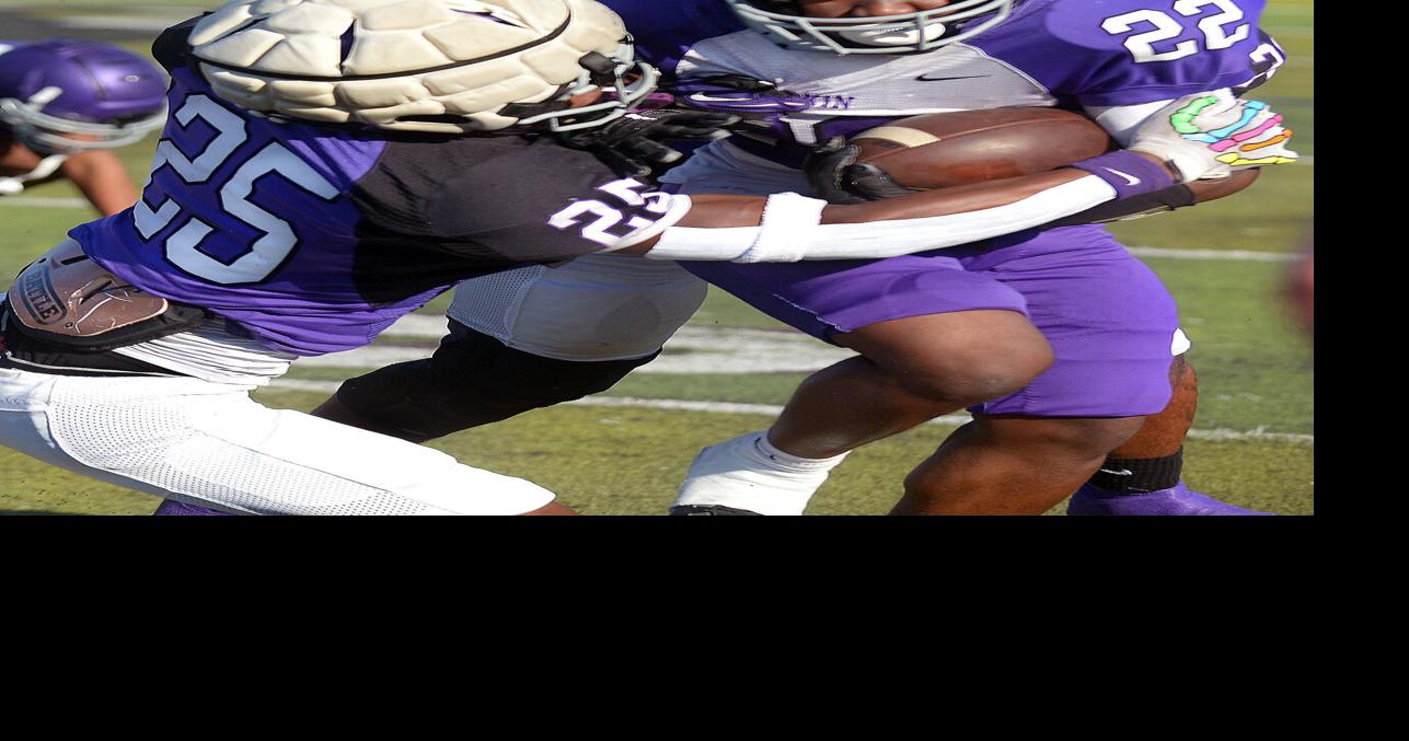 Johnson throws for two scores in Panthers' spring game | Sports ...