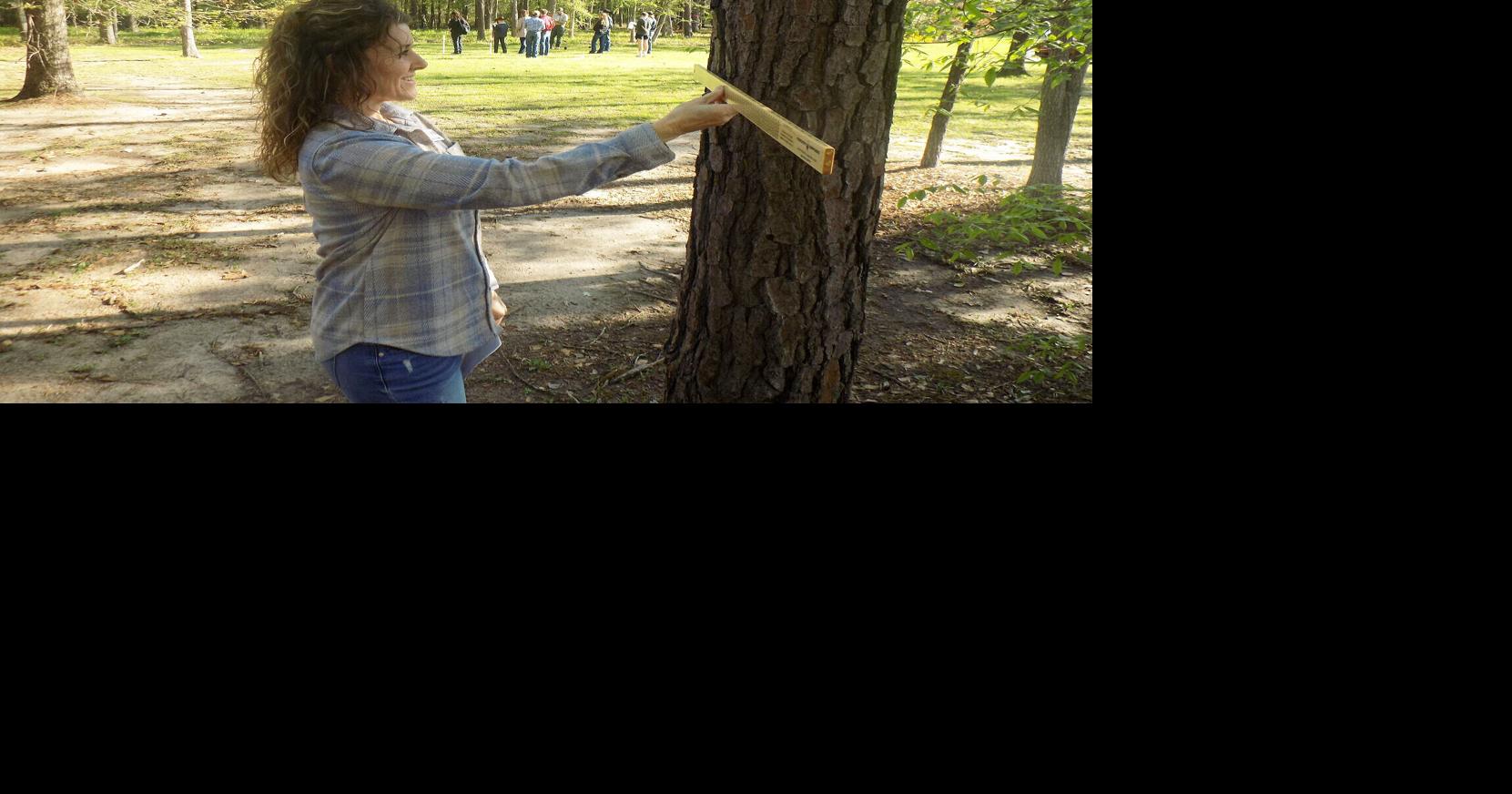 Forestry competition helps students carve many different paths | Local ...