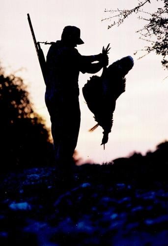 TPWD implements statewide mandatory reporting on wild turkeys ...