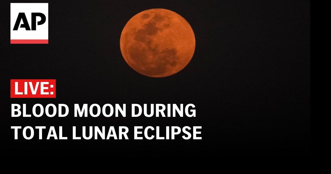 Blood moon 2025: LIVE view of the total lunar eclipse | Ap Video ...