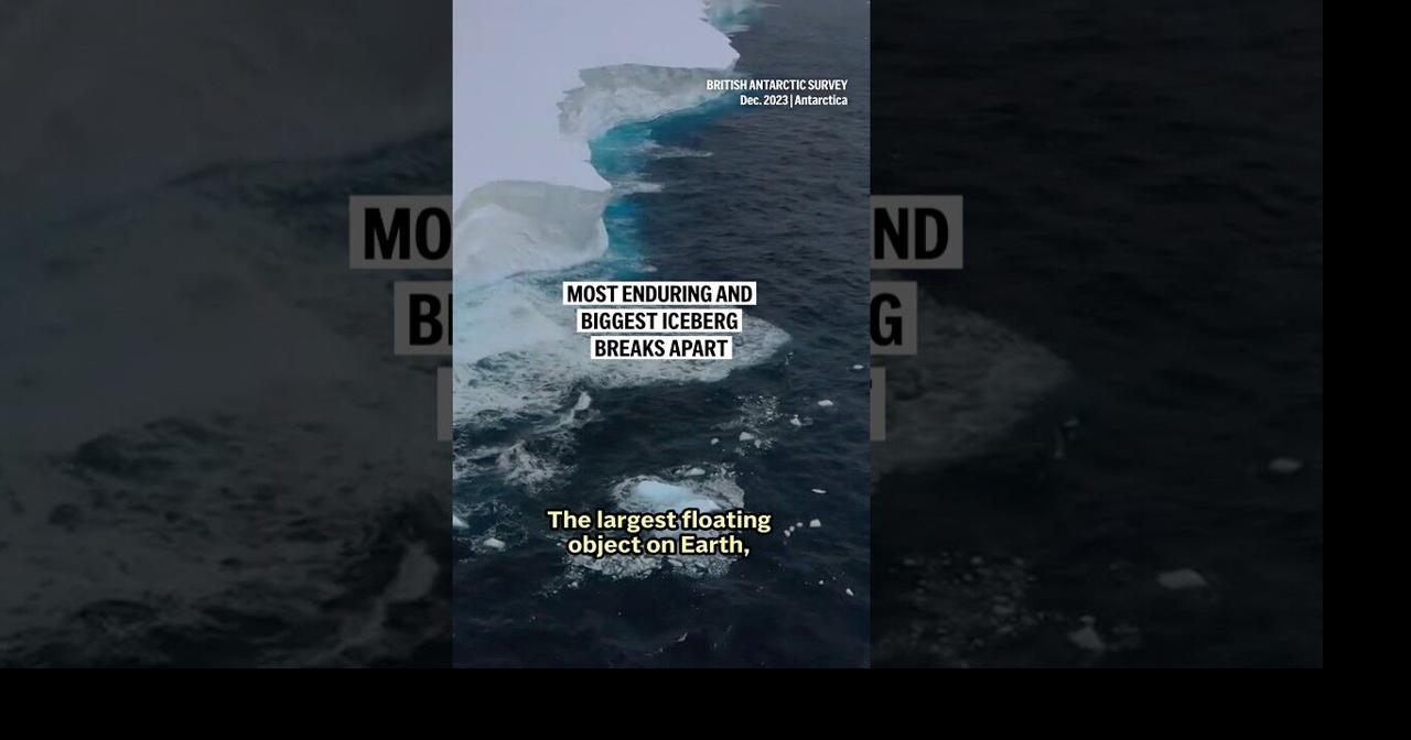 Most enduring and biggest iceberg breaks apart, with more splintering ...