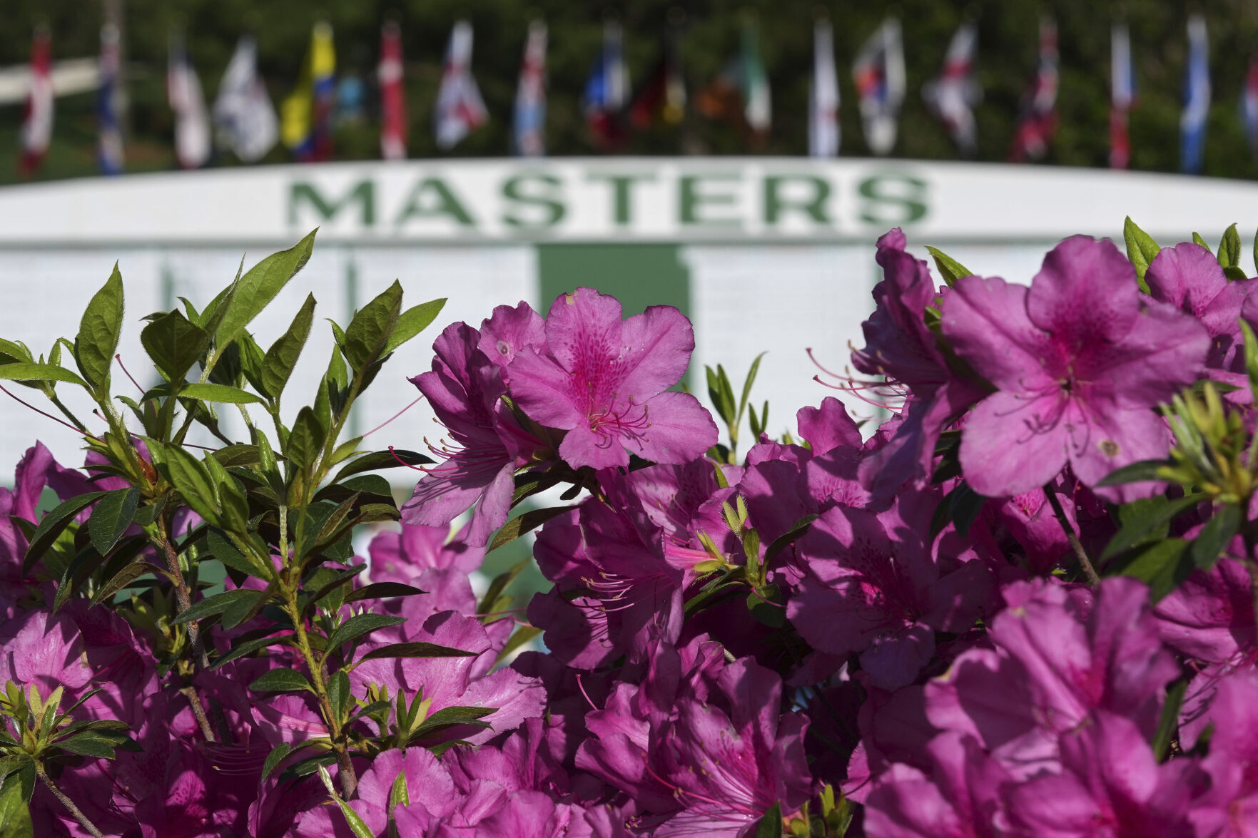 Masters gardening: East Texas Plants on Augusta National Golf Course ...