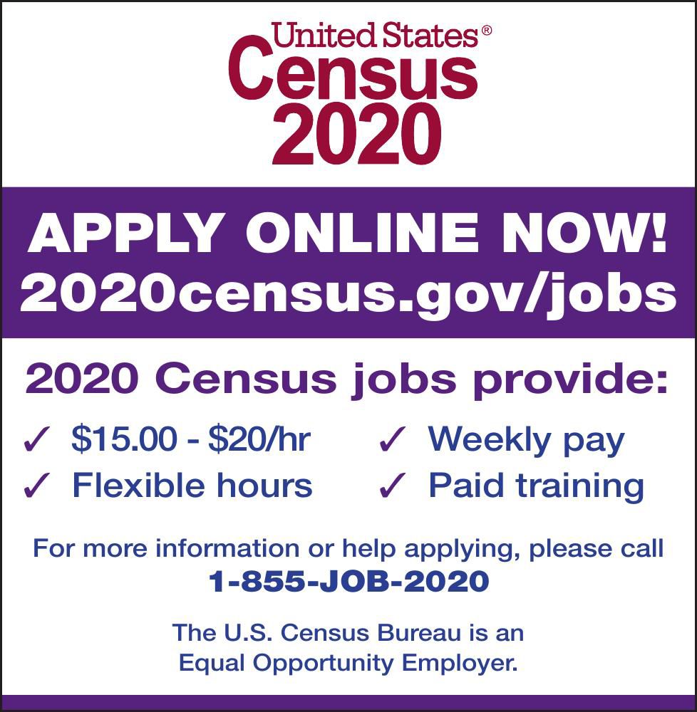 2020 census online jobs