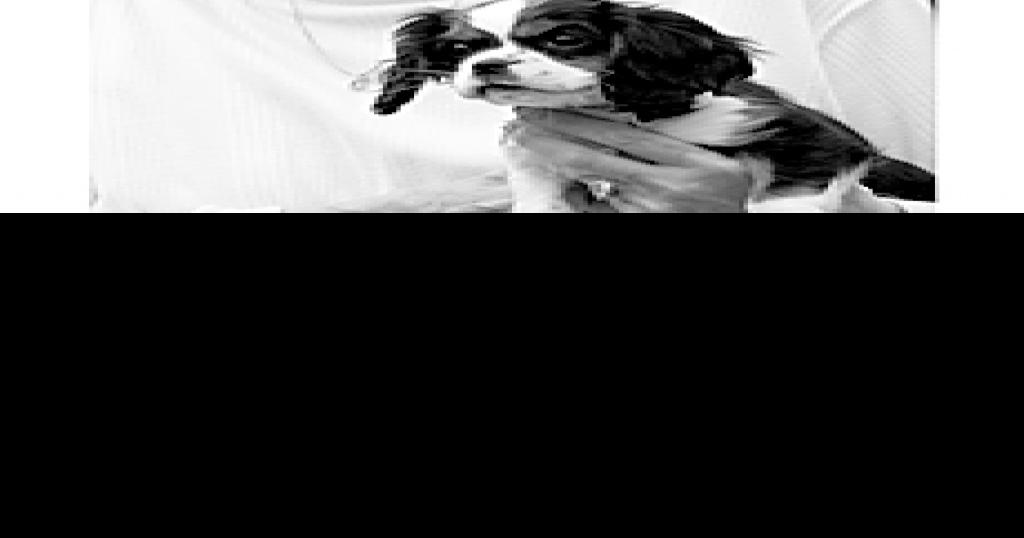 Connery, Aleta Marie (Rowley)