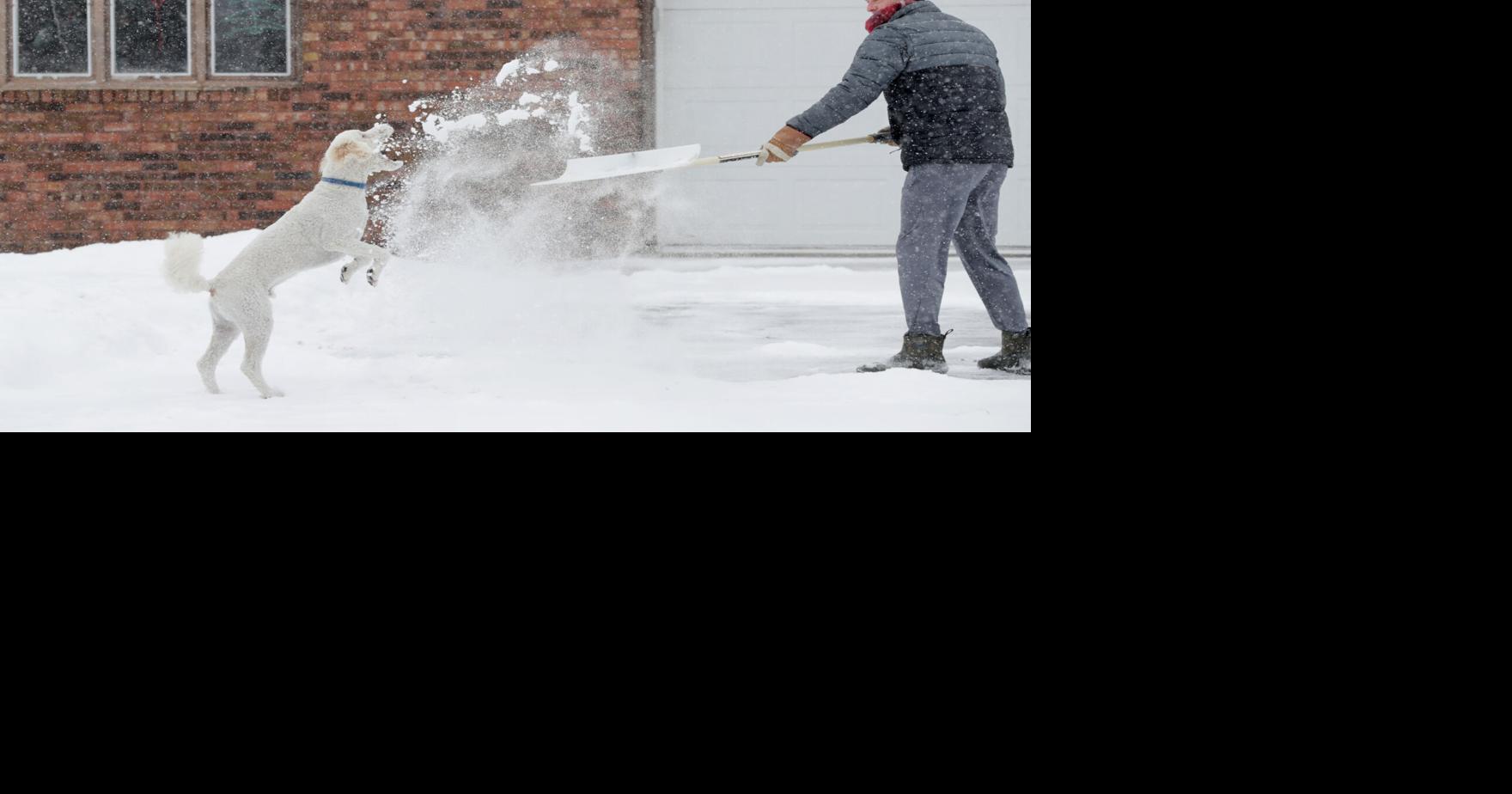 Latest totals: How much snow fell in the Madison area?