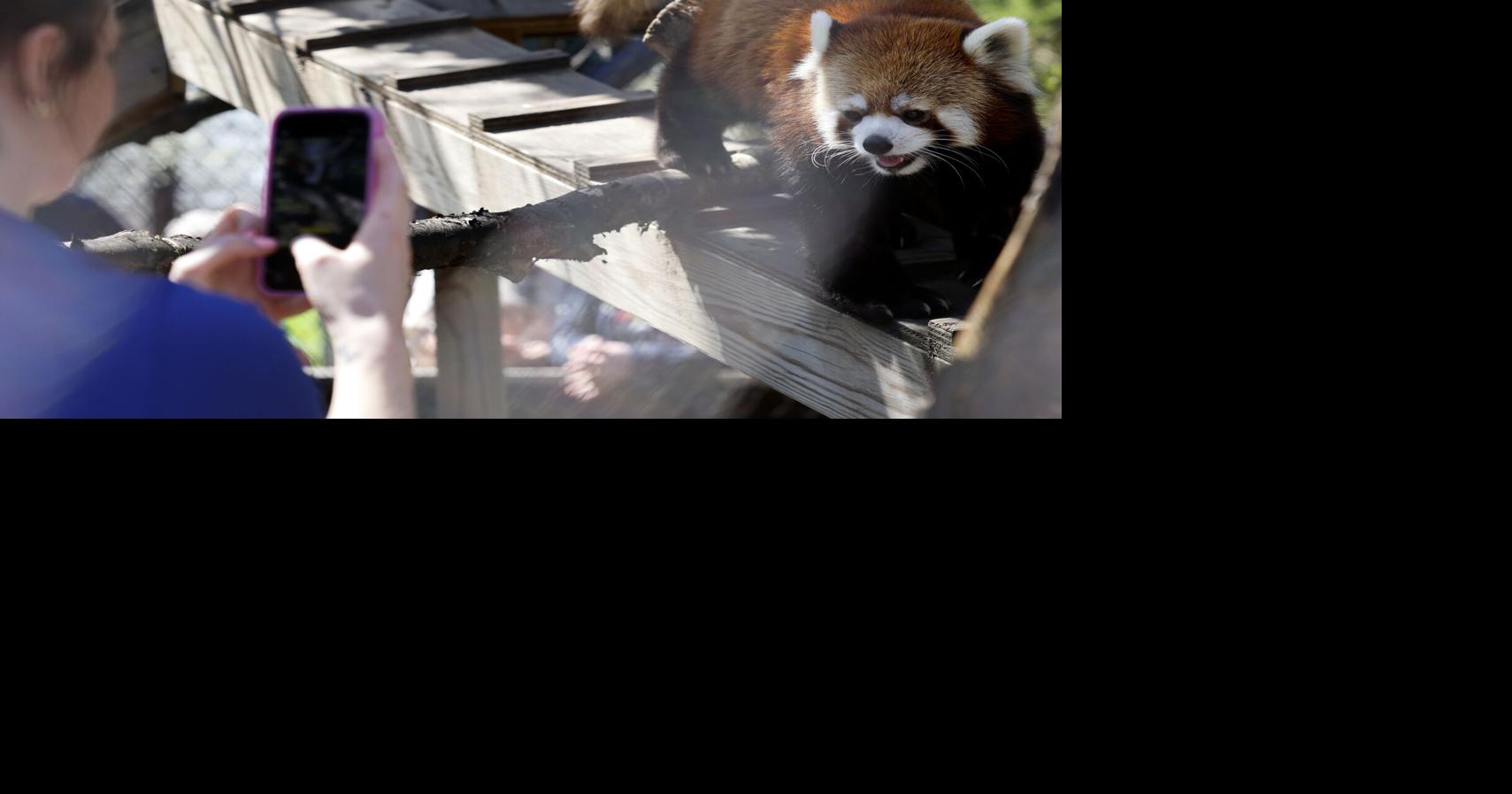 Photos: Bandit's going away party