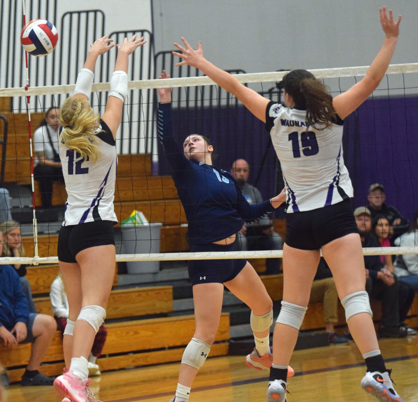 WIAA girls volleyball state tournament schedule and pairings