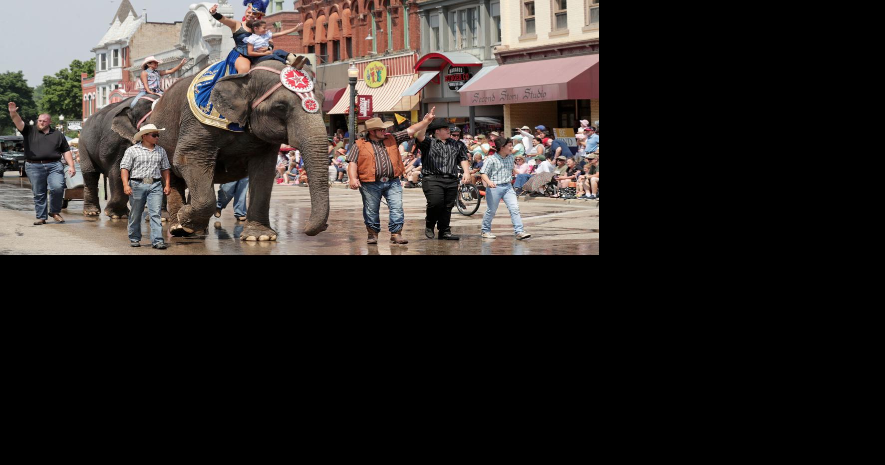 Elephants Kelly and Viola are — literally — biggest attraction at their ...