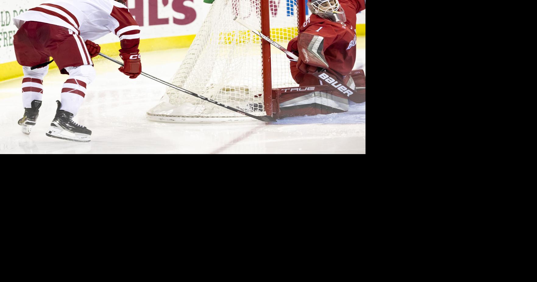 Wisconsin stays in top 10 of national men's hockey rankings