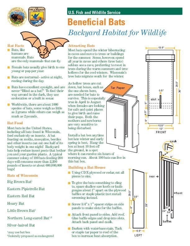 Build a bat box
