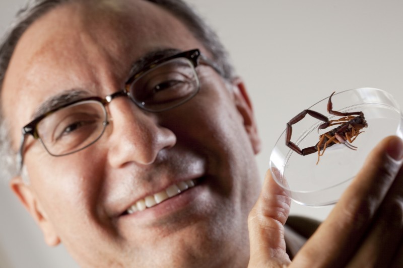UW researcher uses scorpions in quest to find better medications