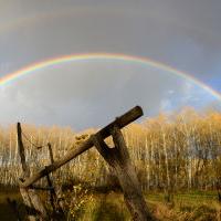 Patrick Durkin: Hunting elk in Colorado successful venture