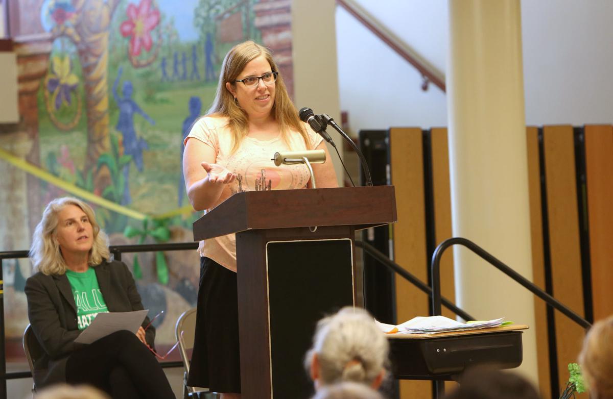 Photos: Olson Elementary School's new mural | Local News | madison.com