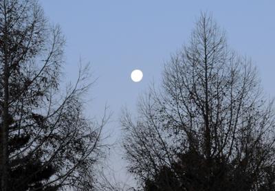 Patrick Durkin: Pinning deer-hunting hopes on rutting moon
