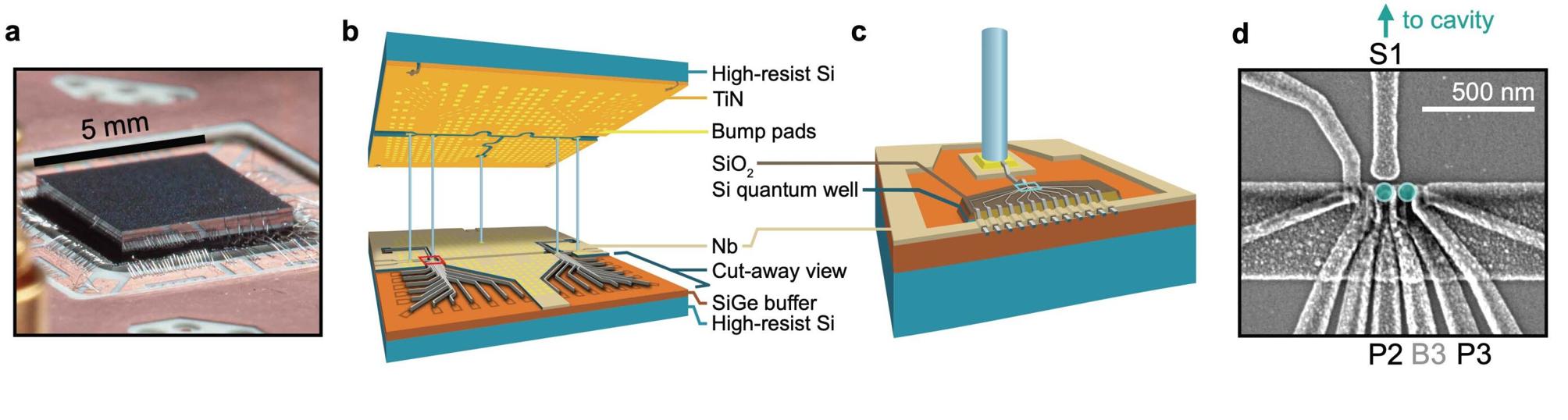 The second quantum computing revolution