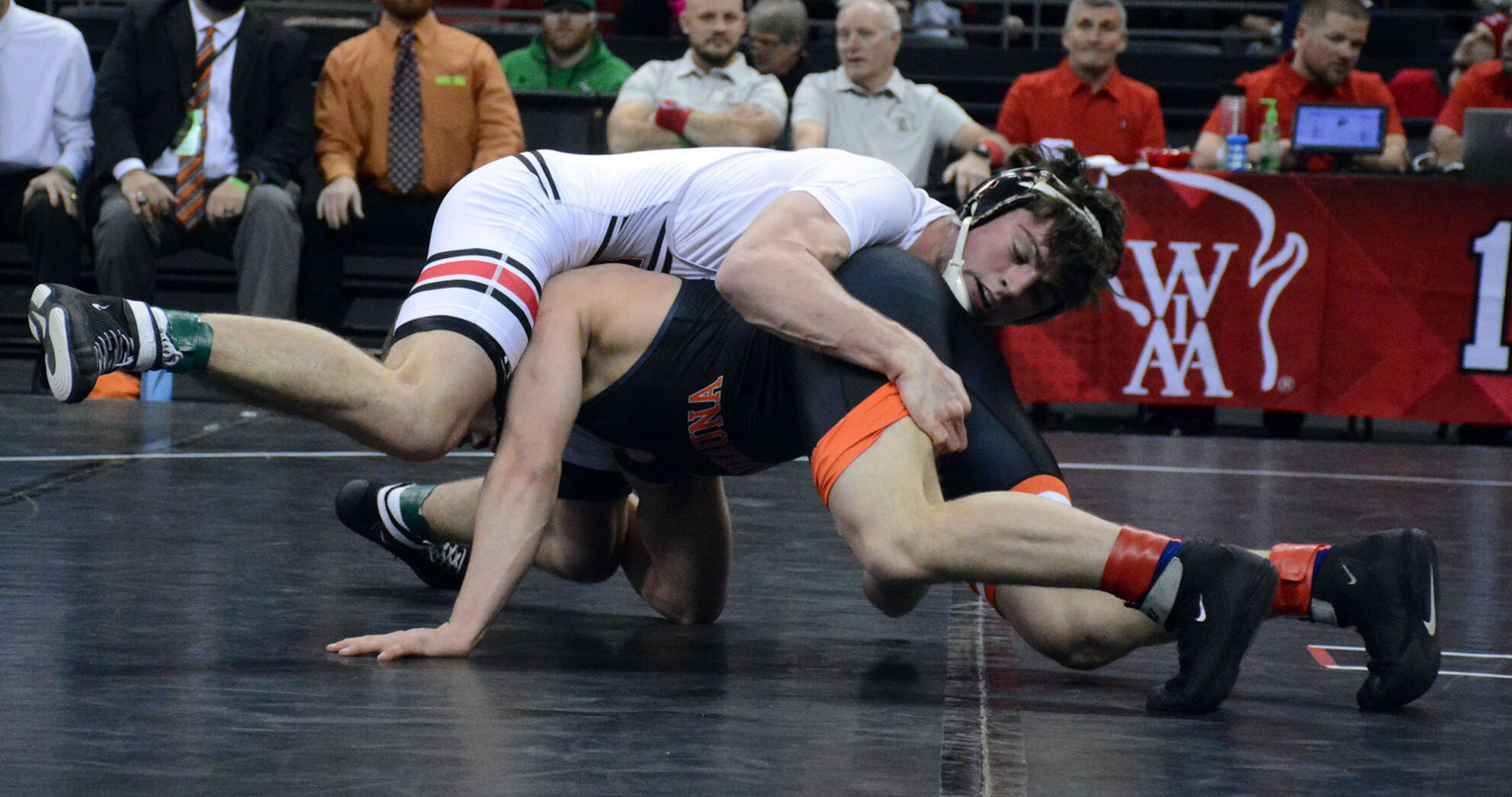 Mount Horeb's Eli Leonard takes second at 175 pounds