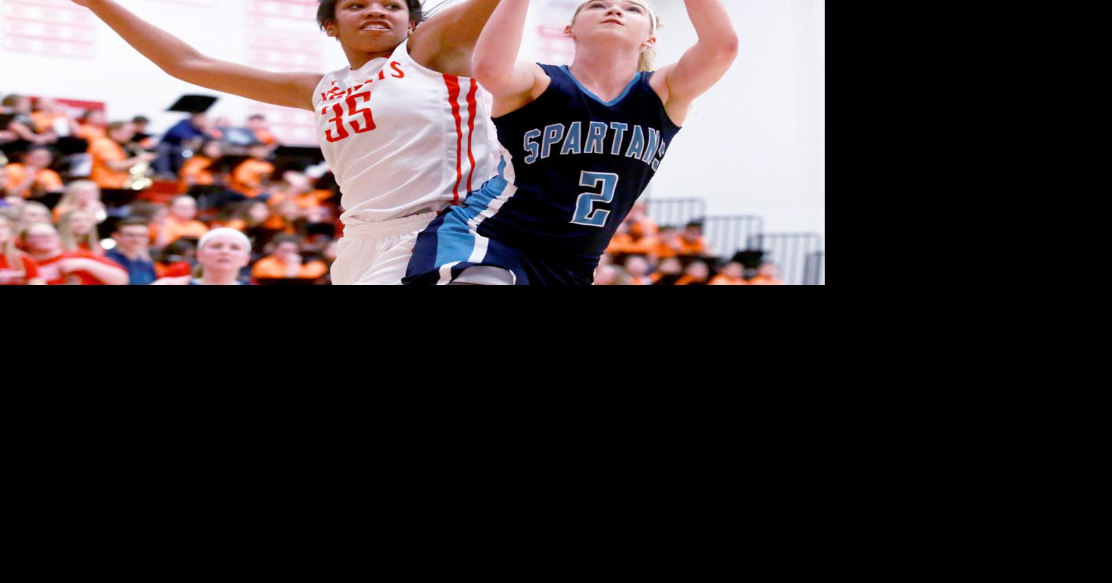 Whitewater's Judy Harms, Poynette's Randy Hamilton step down as girls ...