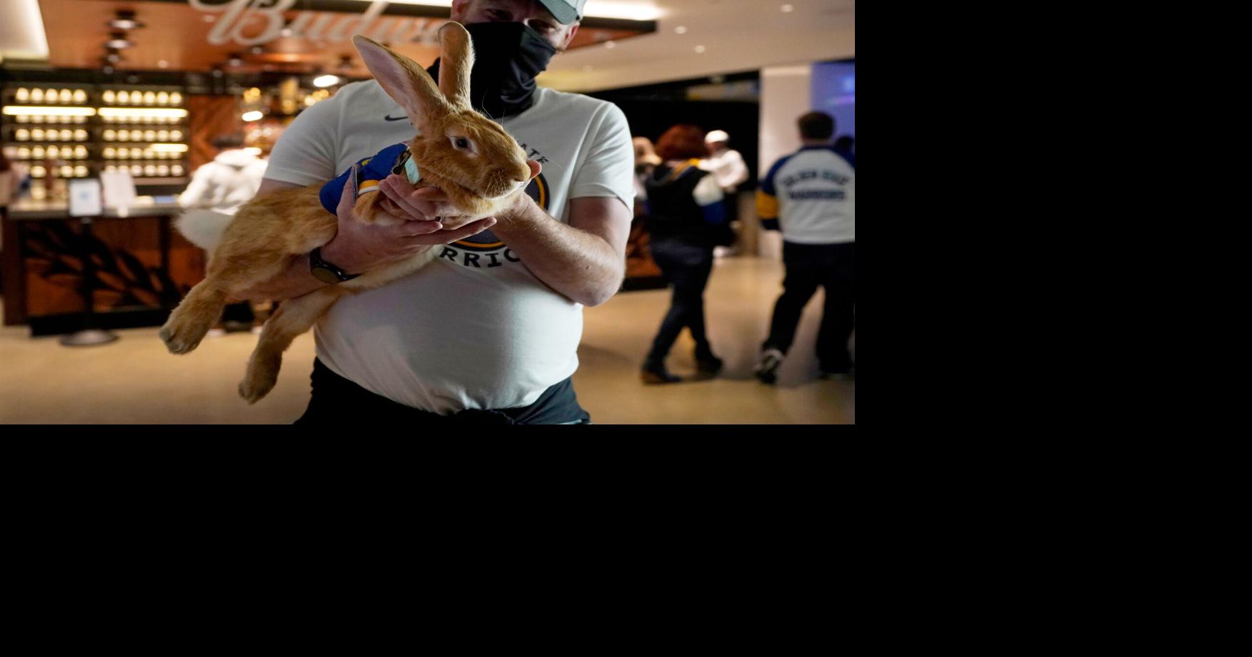 Beloved ballpark therapy bunny Alex the Great has died