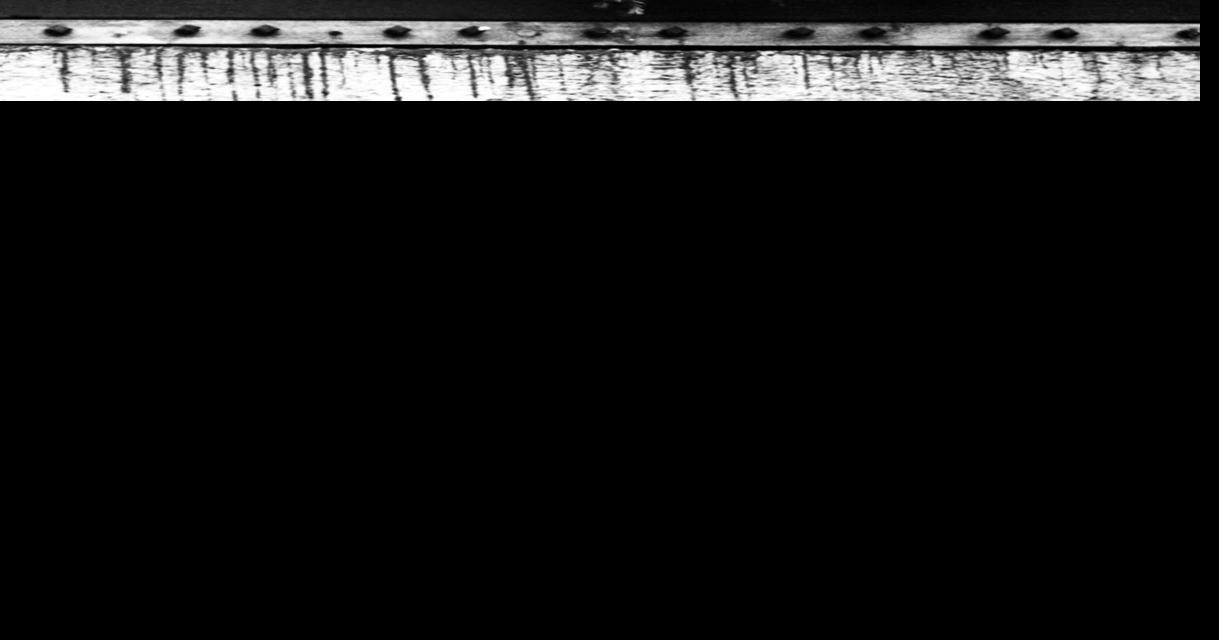 Hitler's rise is relevant today -- Robert Barger