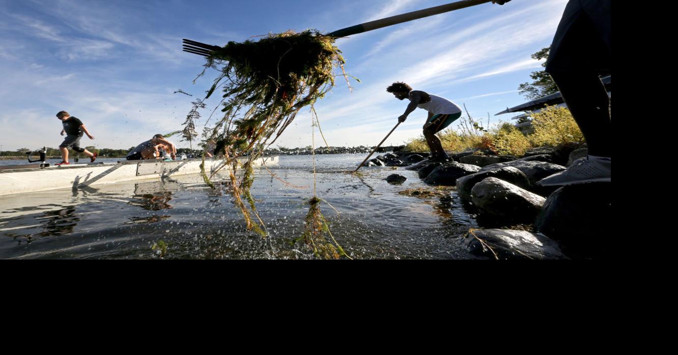 Let new generation take charge of saving Madison's lakes